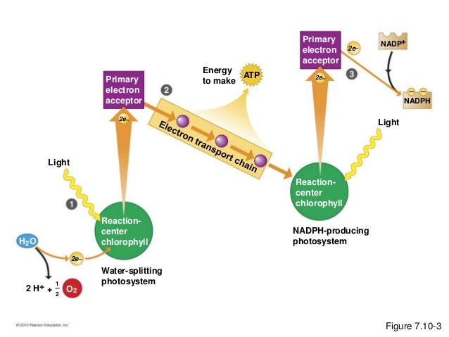 07 lecture presentation0