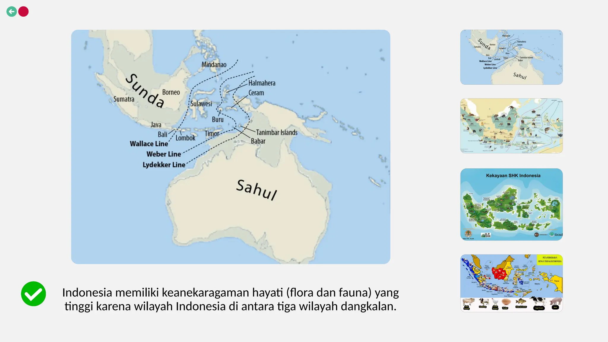 07 Letak Geologis Indonesia versi saya.pptx