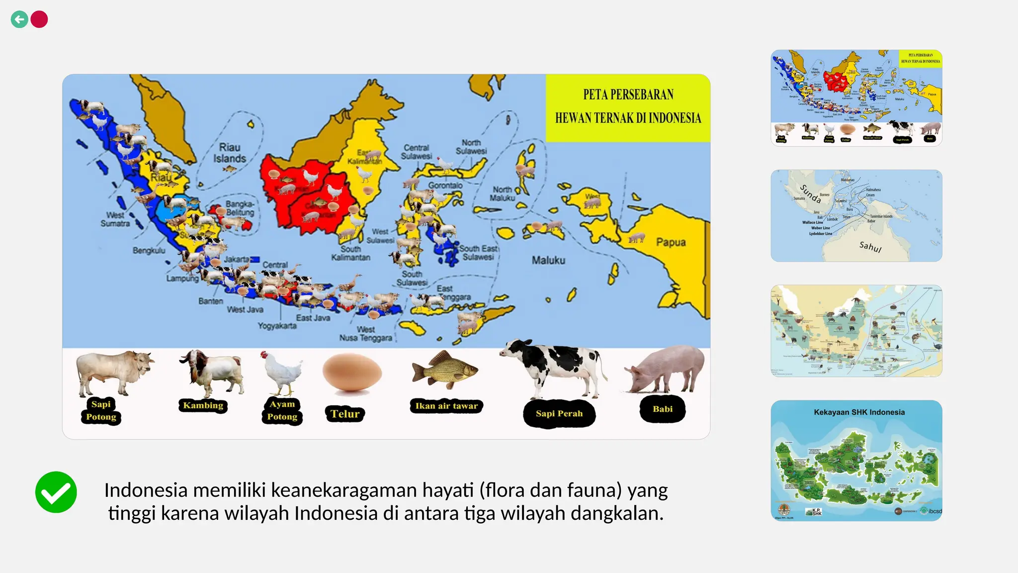 07 Letak Geologis Indonesia versi saya.pptx