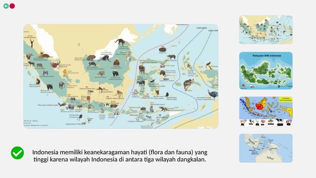 07 Letak Geologis Indonesia versi saya.pptx