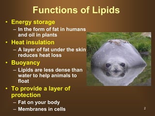 07 lipids and proteins and nucleic acids | PPT