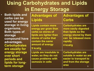 07 lipids and proteins and nucleic acids | PPT