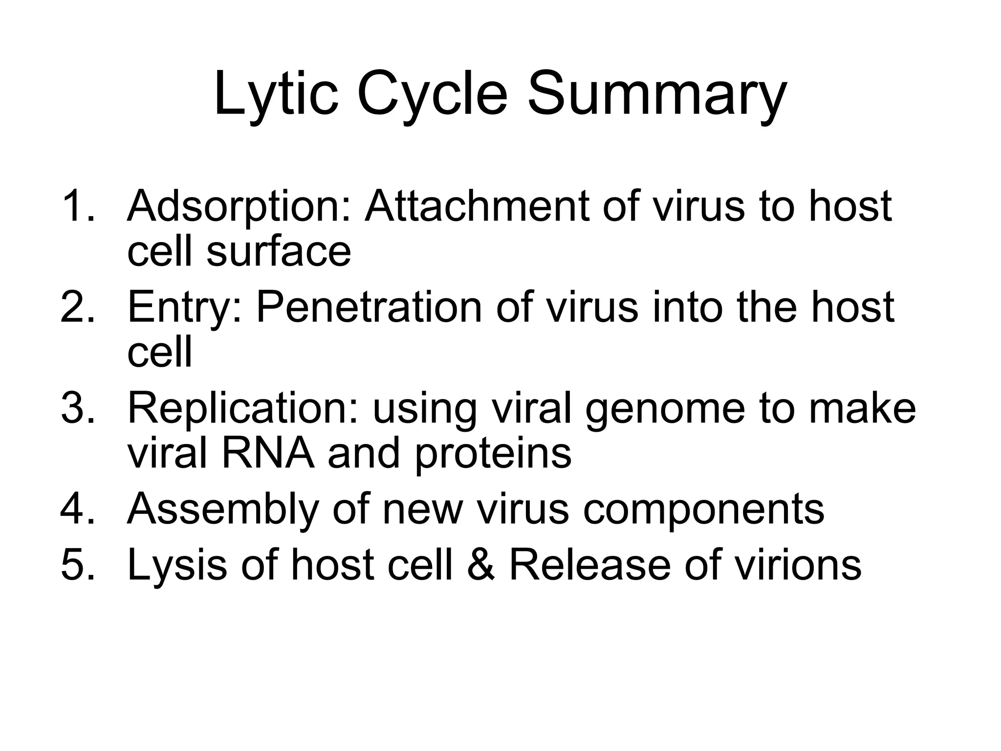 07 lytic vs lysogenic cycle | PPT