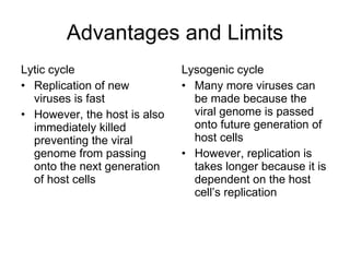 07 lytic vs lysogenic cycle | PPT