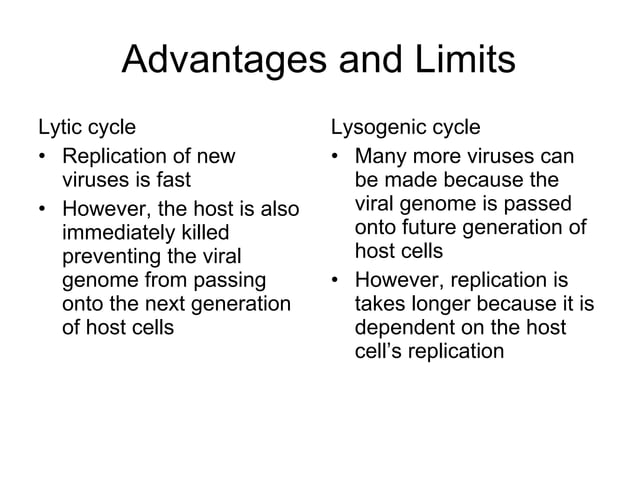 07 lytic vs lysogenic cycle | PPT | Biological Sciences | Science