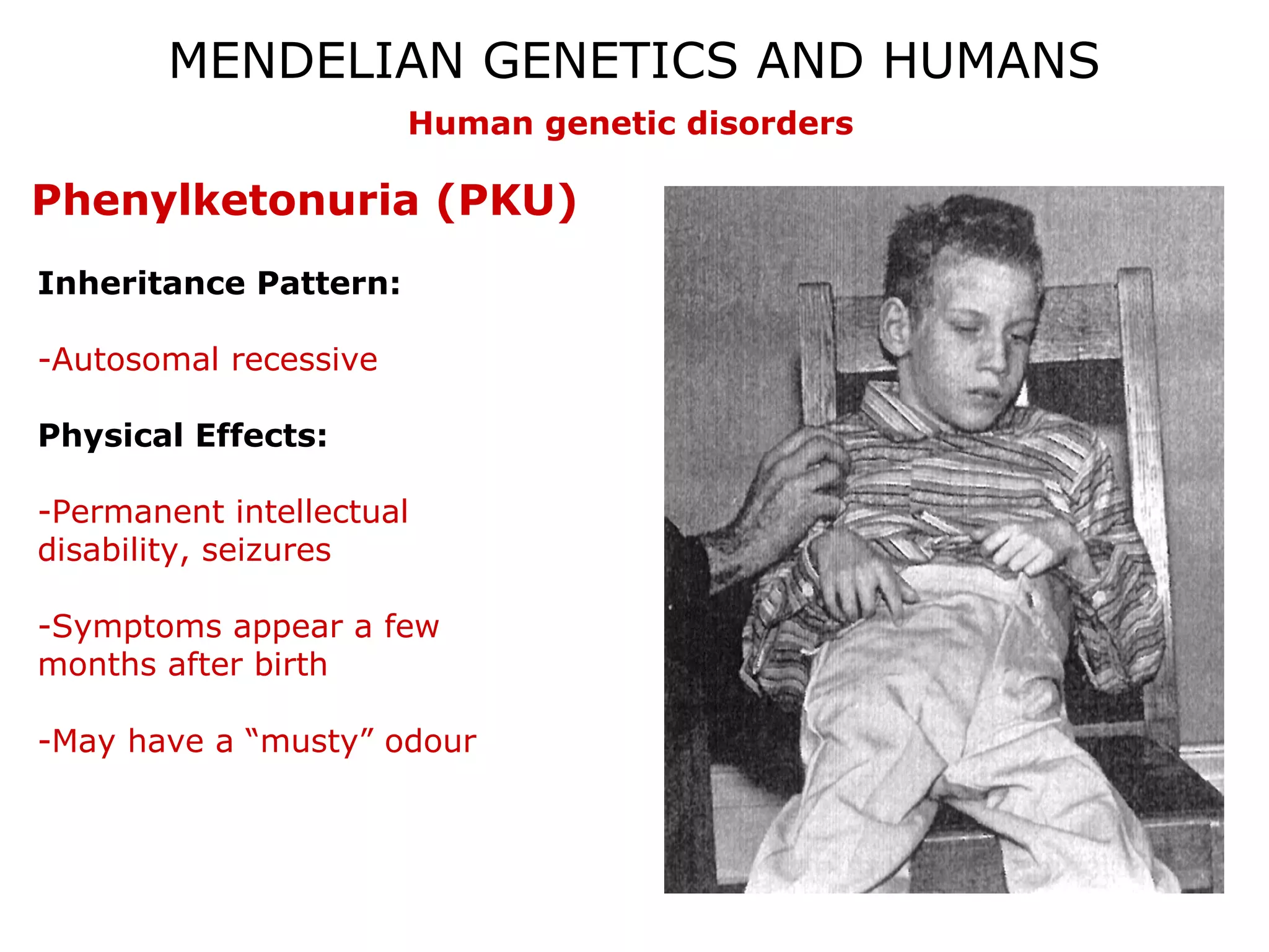 07 mendelian genetics and humans | PPT