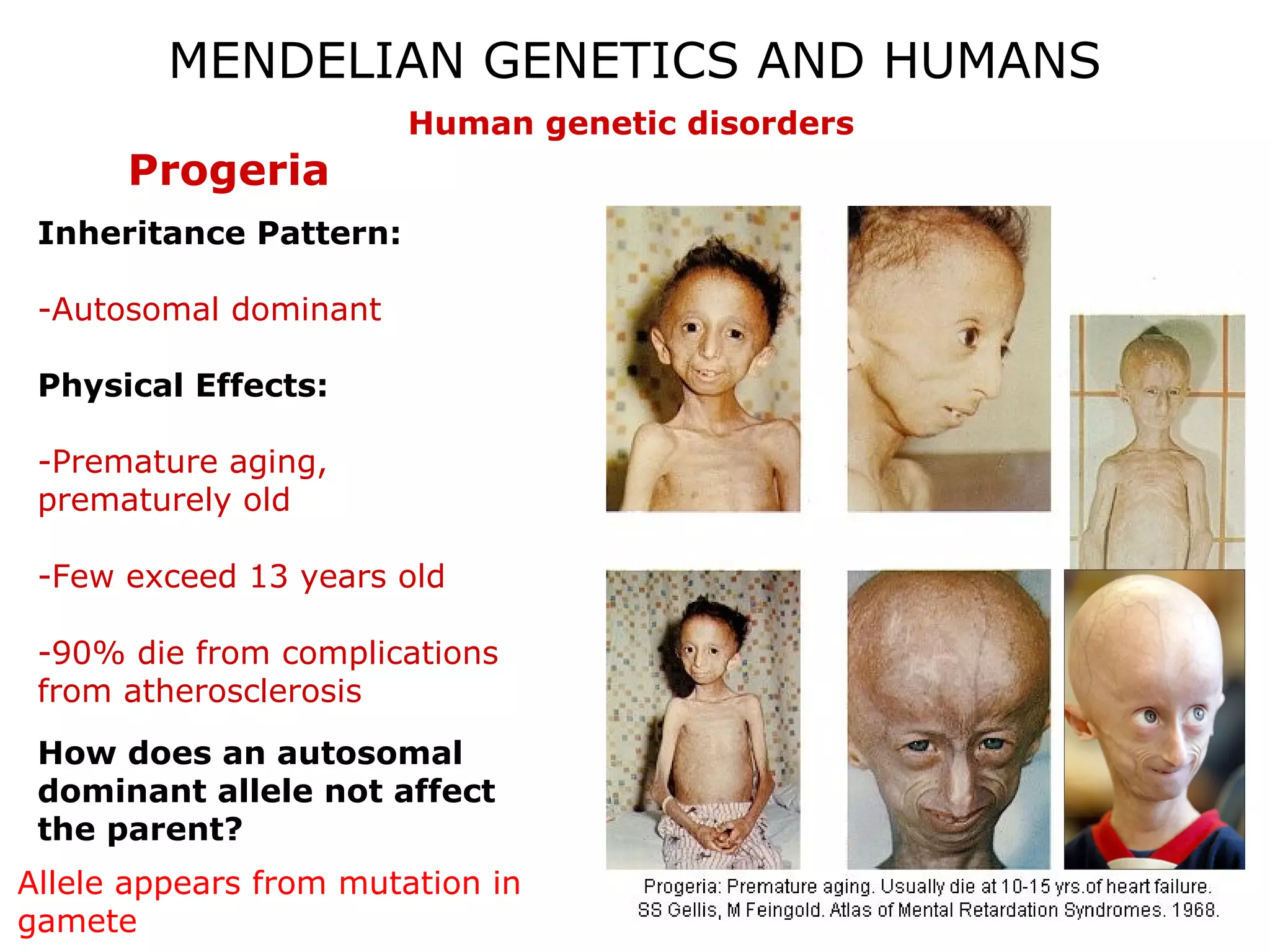 07 mendelian genetics and humans | PPT