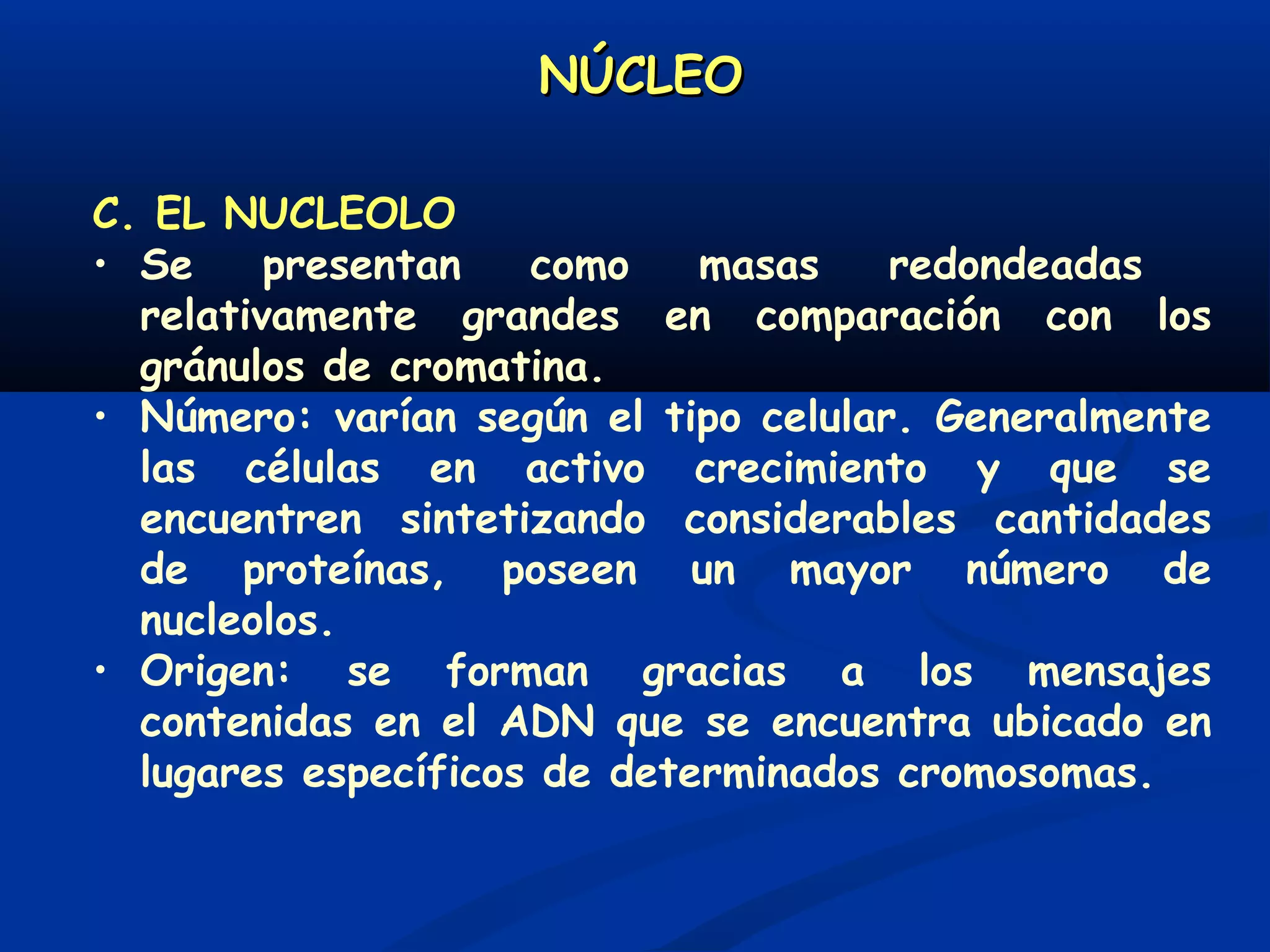 Mitocondrias Nucleo | PPT