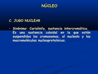 Mitocondrias Nucleo | PPT