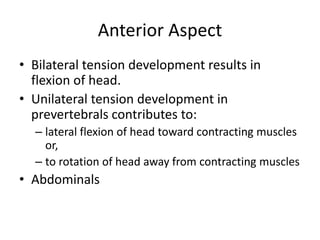 Lec 07 Bio-mechanic_muscle_of_spine..ppt