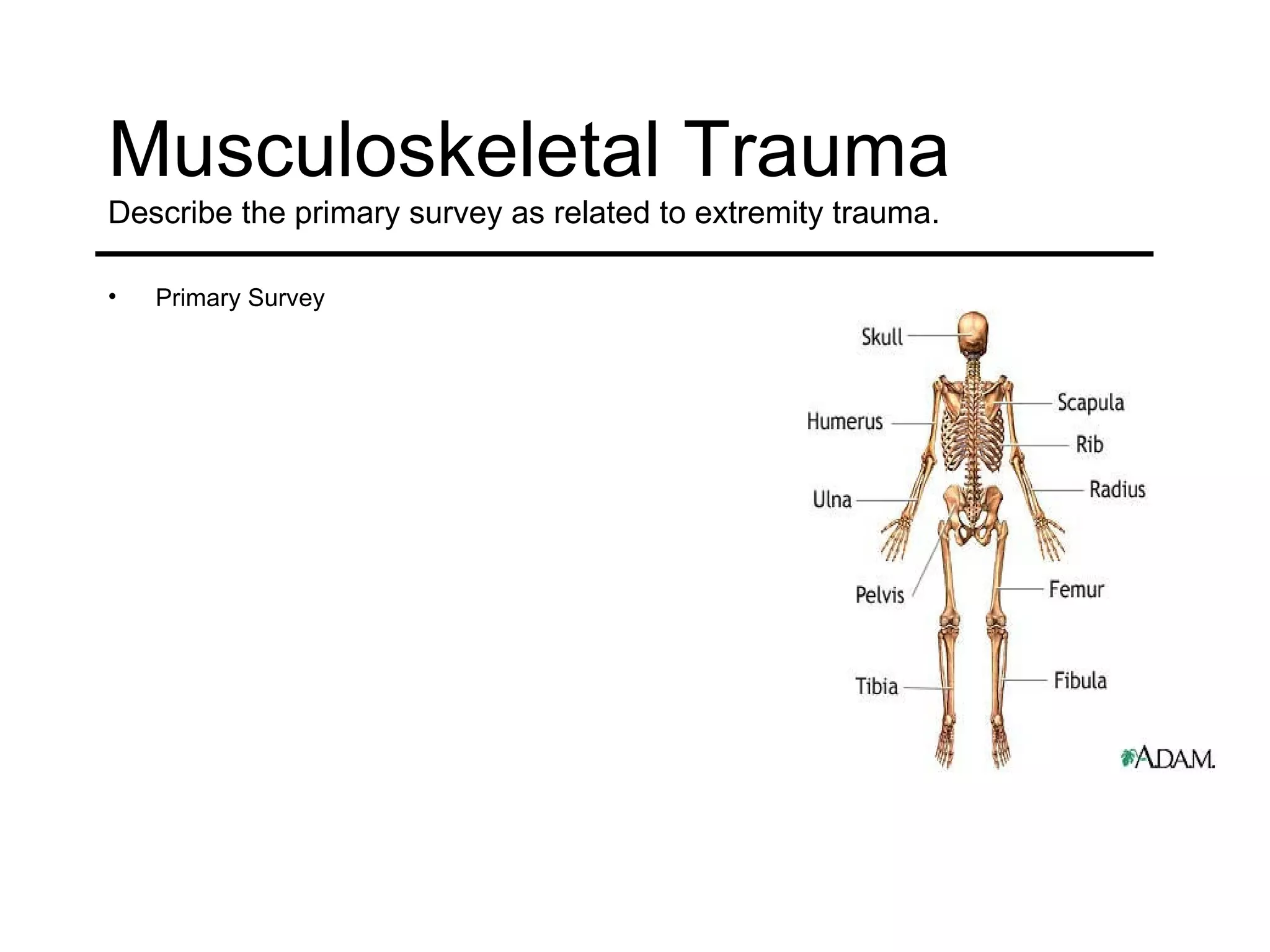 07 musculoskeletal trauma | PPT