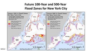 New York City Case Study | PDF