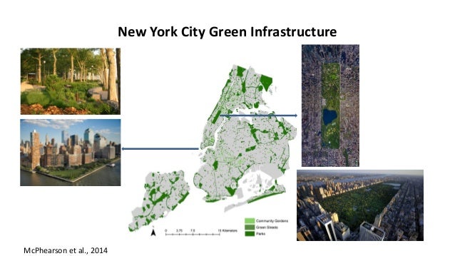 New York City Case Study