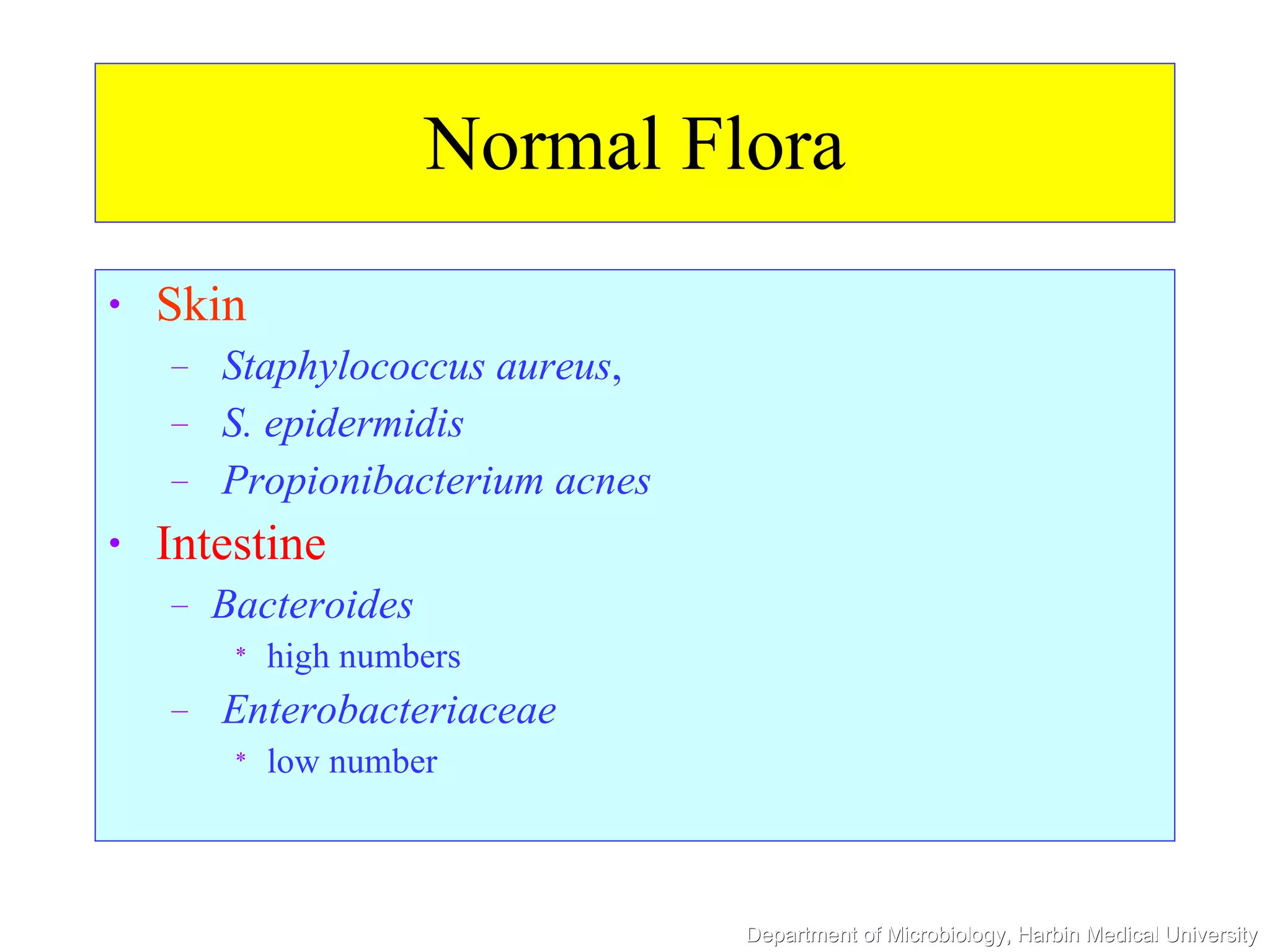 normal microbial flora | PPT