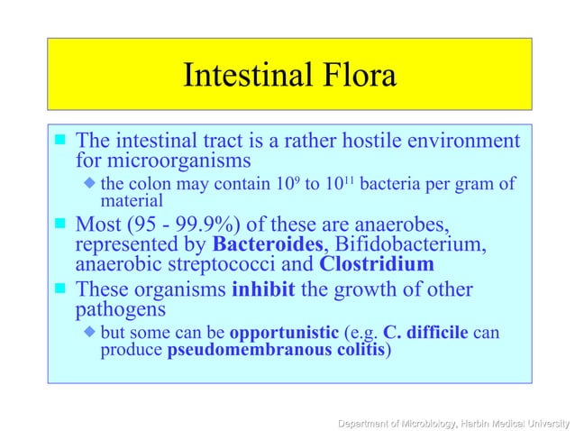 normal microbial flora