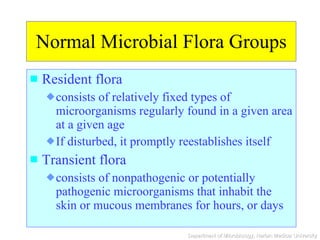 normal microbial flora | PPT