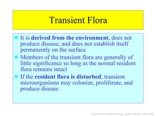 normal microbial flora | PPT