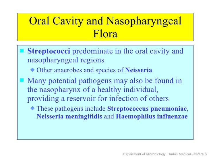 normal microbial flora