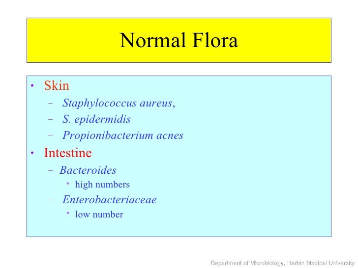 normal microbial flora