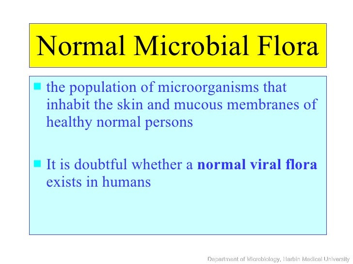 normal microbial flora