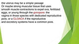 07 OOGENESIS.pptx