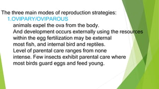 07 OOGENESIS.pptx