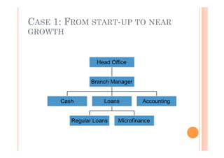 Organizational Structure Options | PPT