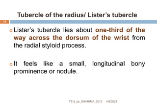 Listers Tubercle Of Radius