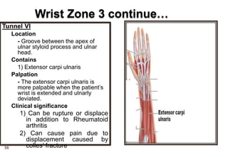 Ulnar Styloid Process Palpation