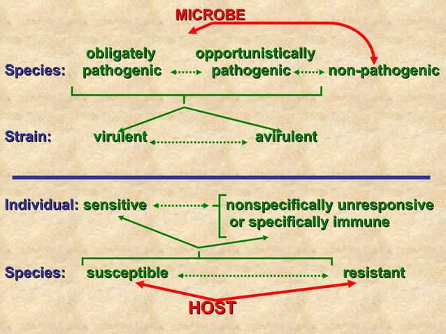07 pathogenicity and_virulence | PPT