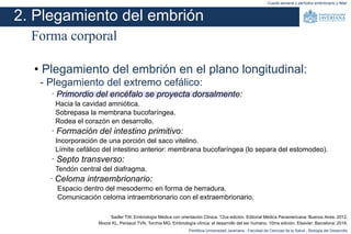 07 Períodos embrionario y fetal (1).pdf