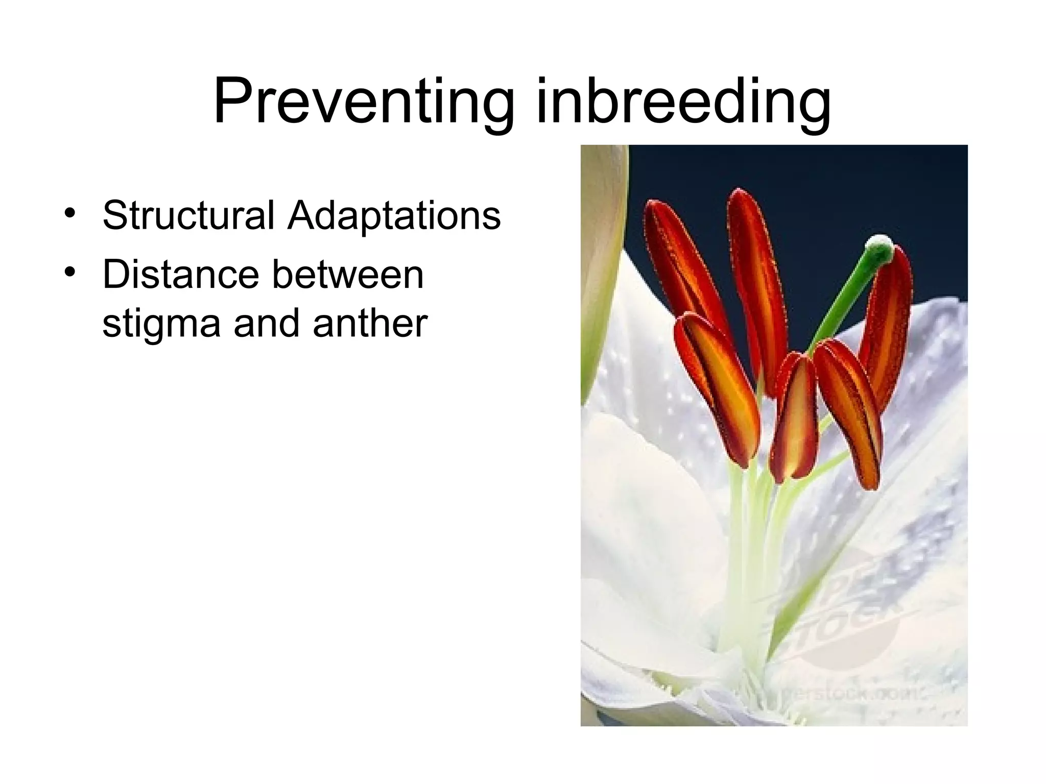 07 plant mating | PPT