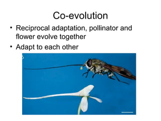 07 plant mating | PPT