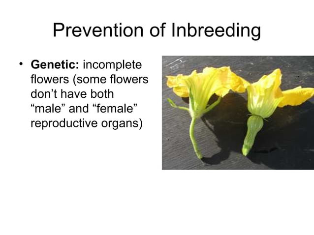 07 plant mating | PPT