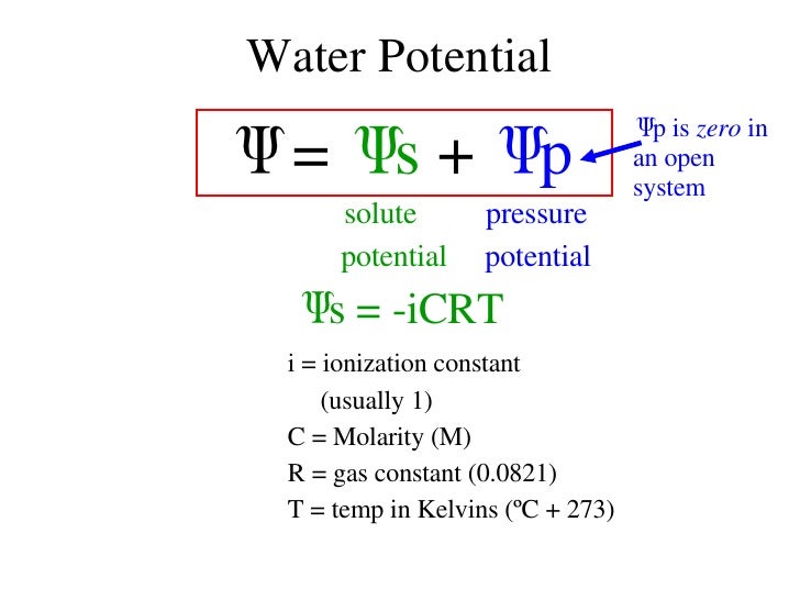 Membrane Structure and Function