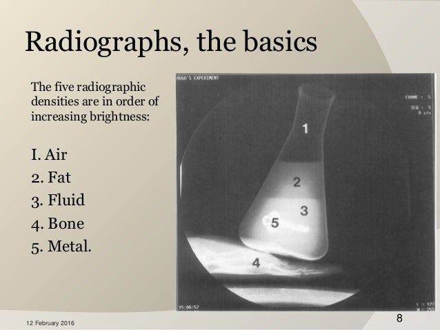 07 radiology in surgery tutorial hajhamad m msu