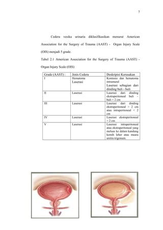 Trauma Buli-Buli (Vesika Urinaria) | DOC