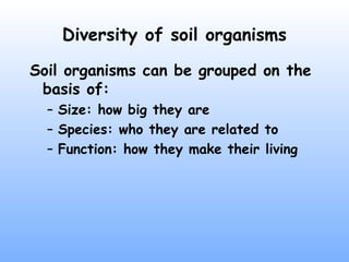 07 soil microbiology | PPT