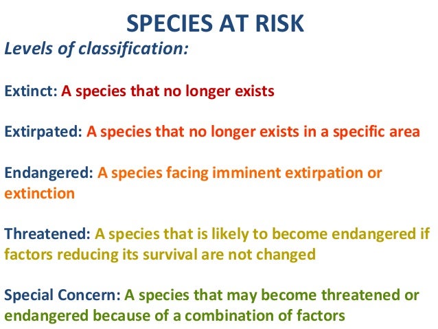 07 species at risk