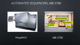 Genome Sequencing | PPT