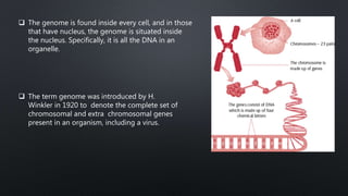 Genome Sequencing | PPT