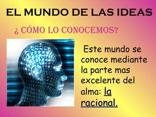 Teoria Ideas | PPT