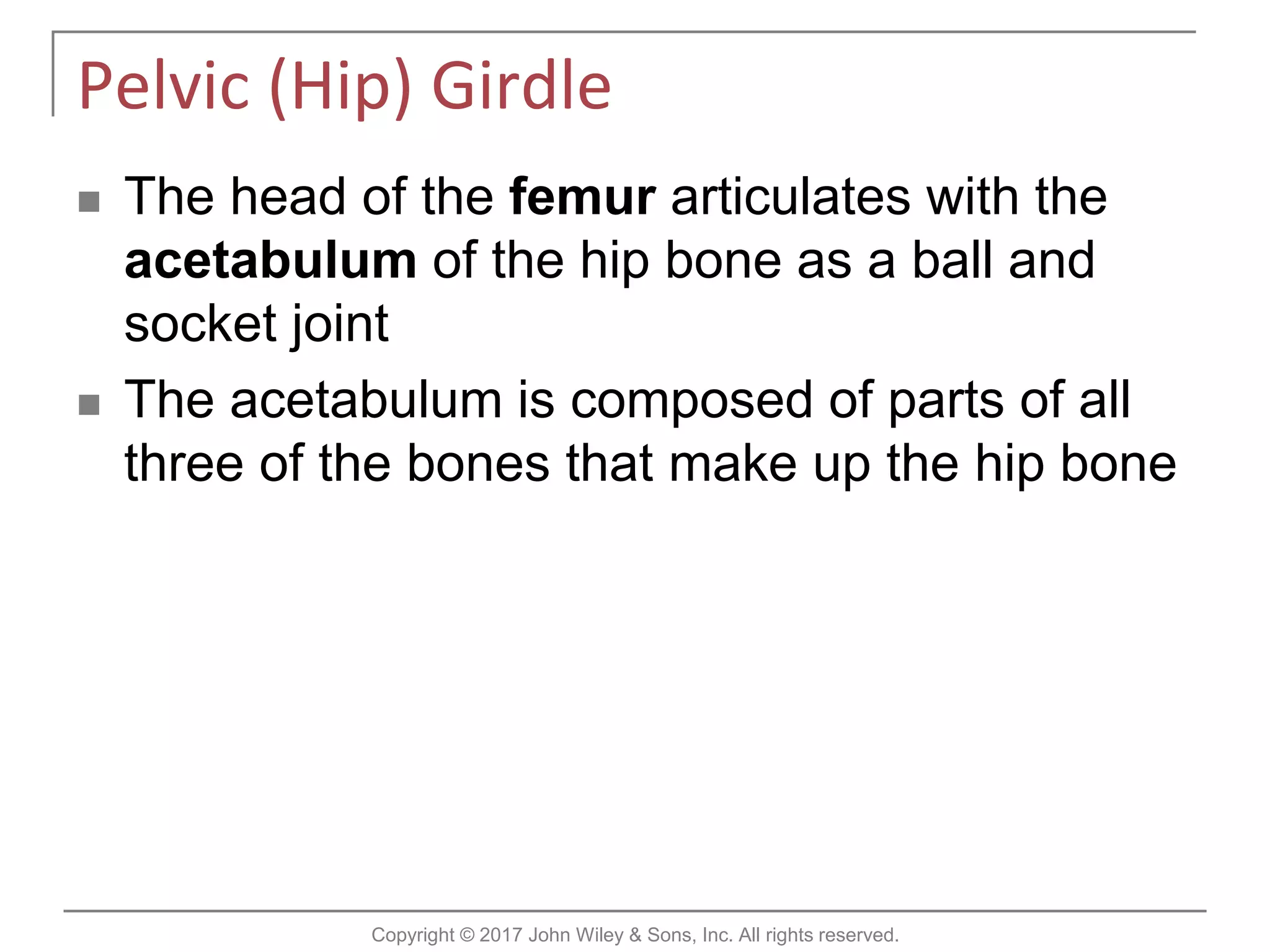 07 The Skeletal System - Appendicular Skeleton.pdf