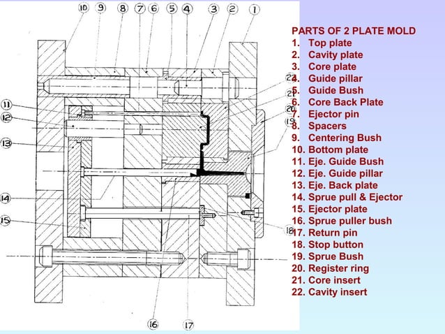 Types of mould | PPT