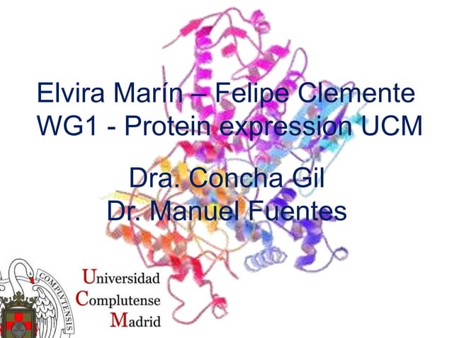 07_WG1.Otras_estrategias_de_expresion.ppt