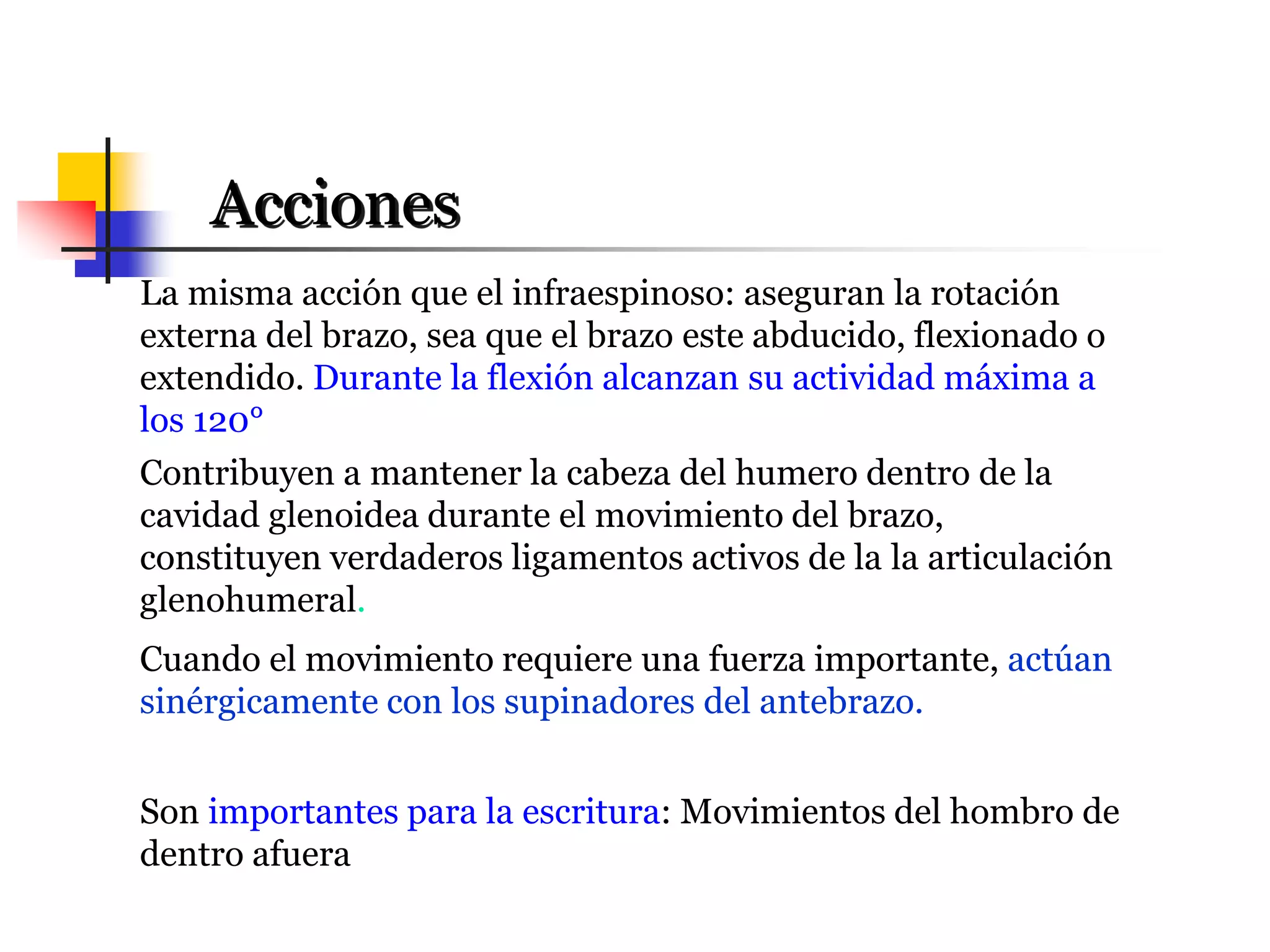 08. smf redondo menor prv | PPT