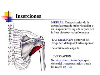 08. smf redondo menor prv | PDF