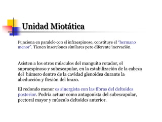 08. smf redondo menor prv | PDF
