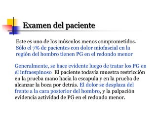 08. smf redondo menor prv | PDF