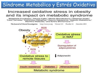 Nuevos conocimientos en la fisiopatología del síndrome metabólico | PPTX